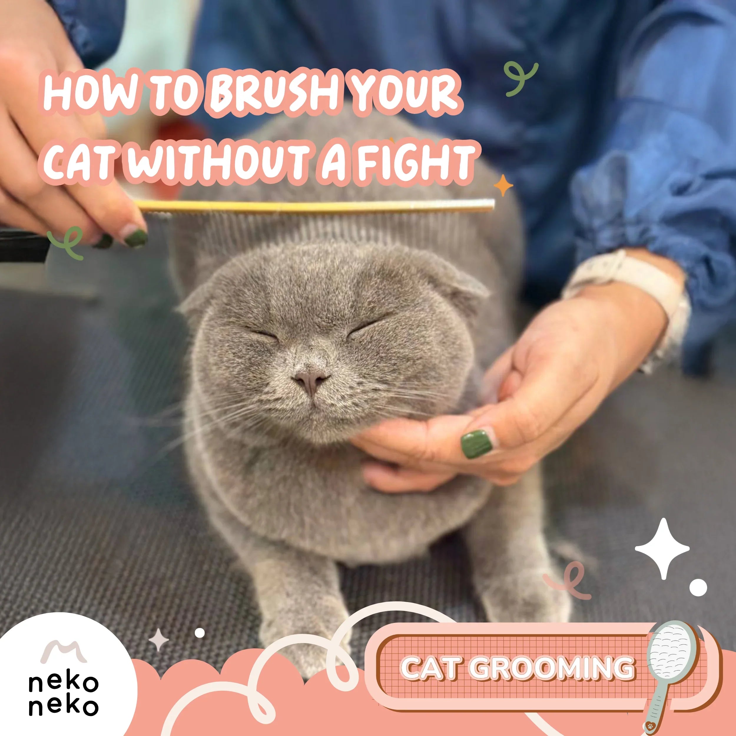 How to Brush Your Cat Without a Fight – Neko Neko