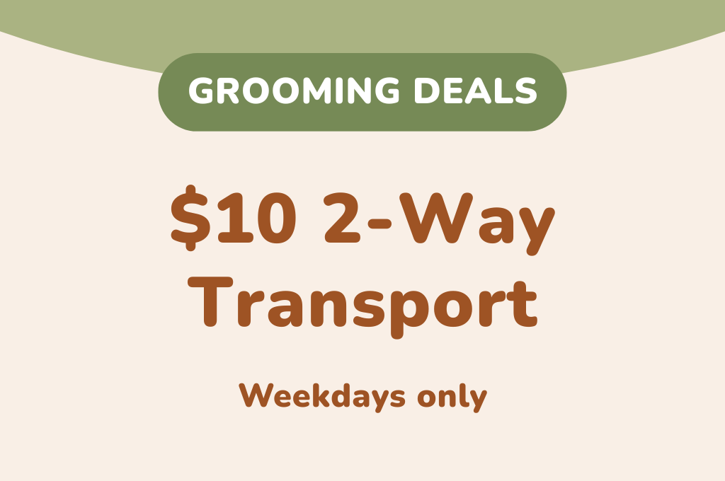 $10 2-Way Transport – Neko Neko